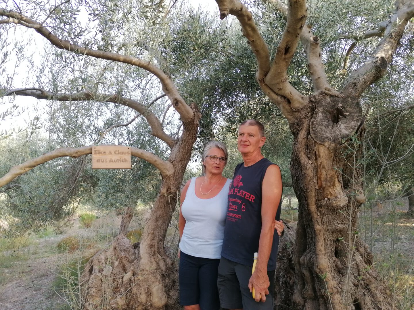 Baumschutz direkt vor Ort auf Kreta – Werde aktiv! / Tree Conservation ...